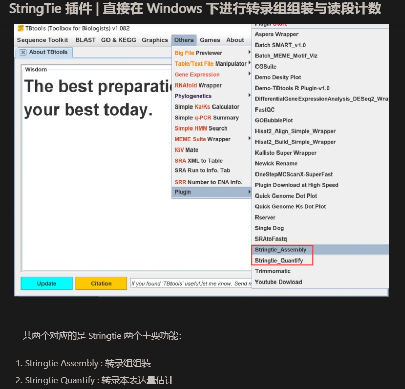 TBtools学习 | HL's blog