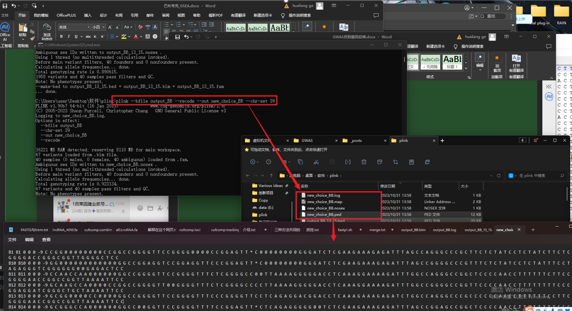 plink插件 | HL's blog